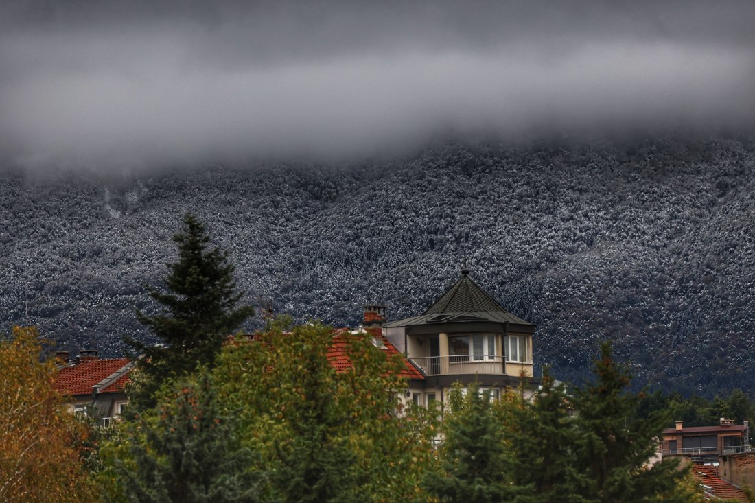Омбудсманът настоява планът за управление на парк "Витоша" да бъде ...